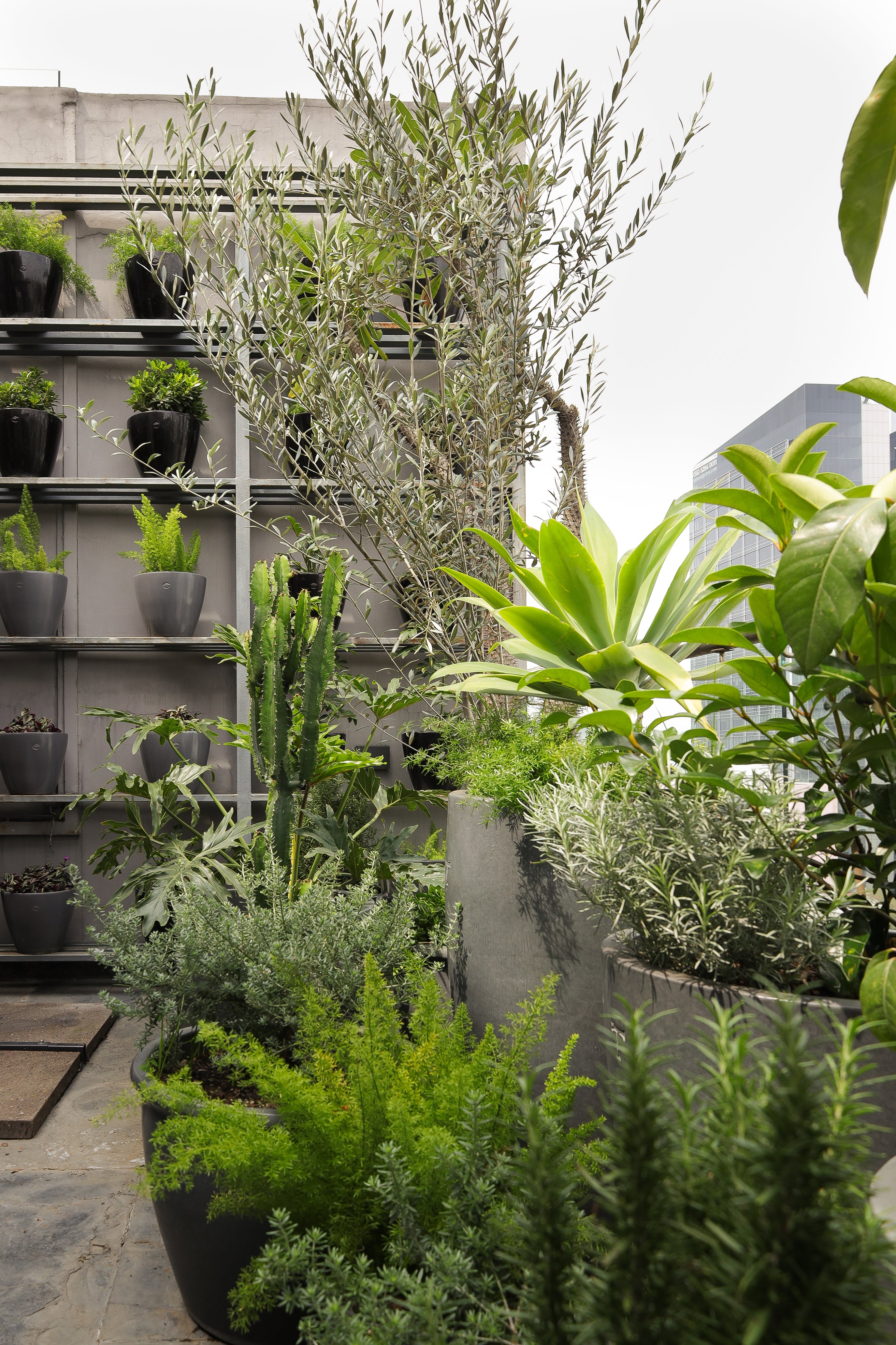 Paisajismo - Diseñamos tu terraza, jardín o sala con plantas y macetas ...