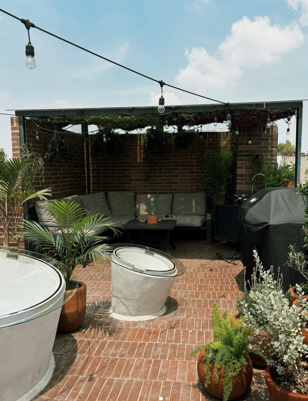 Servicios – Monstera Folks